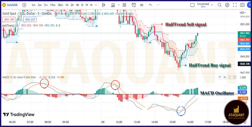 Efficient 5-Minute Scalping Strategy Utilizing the Half Trend Indicator ...