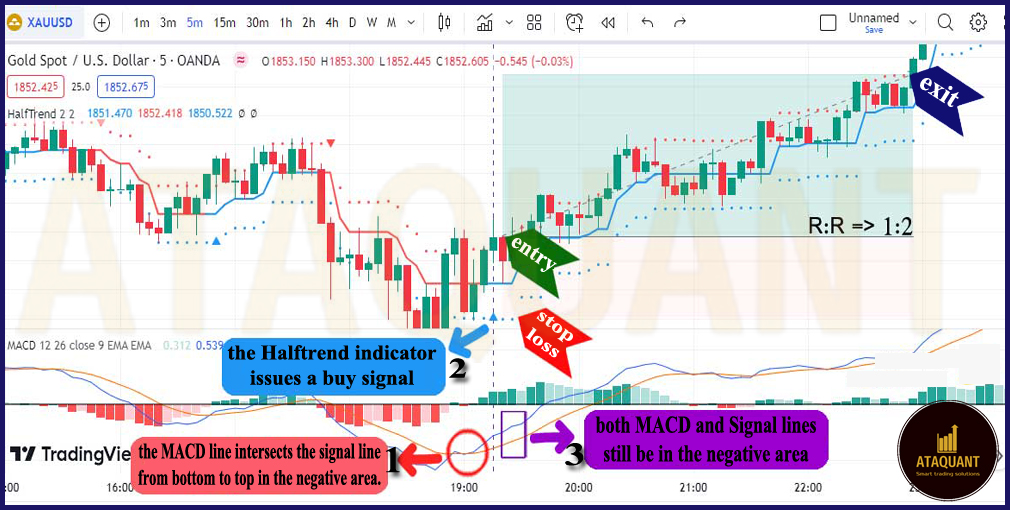 Efficient 5-Minute Scalping Strategy Utilizing the Half Trend Indicator ...