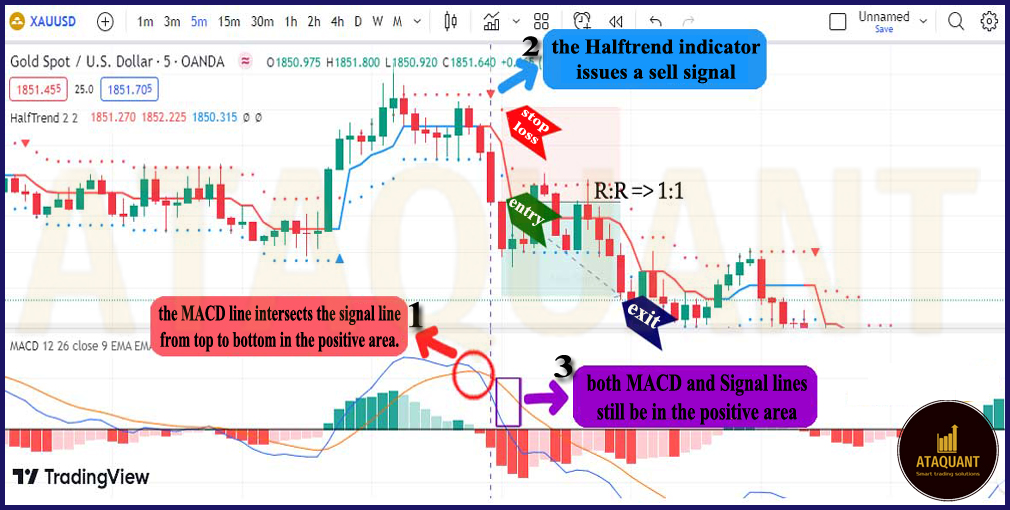 Efficient 5-Minute Scalping Strategy Utilizing the Half Trend Indicator ...