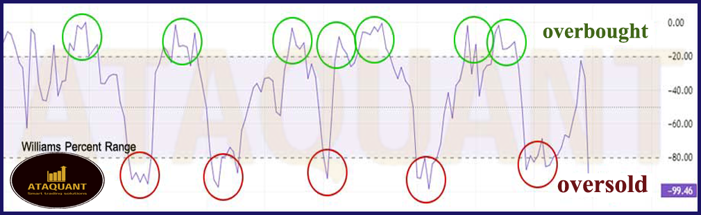 Williams Percent Range (WPR) Trading Strategy – AtaQuant – Advanced ...