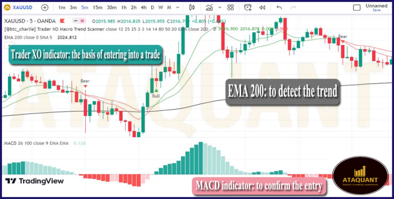 Trader XO Macro trading strategy – AtaQuant – Advanced Expert and Indicator Programming for ...