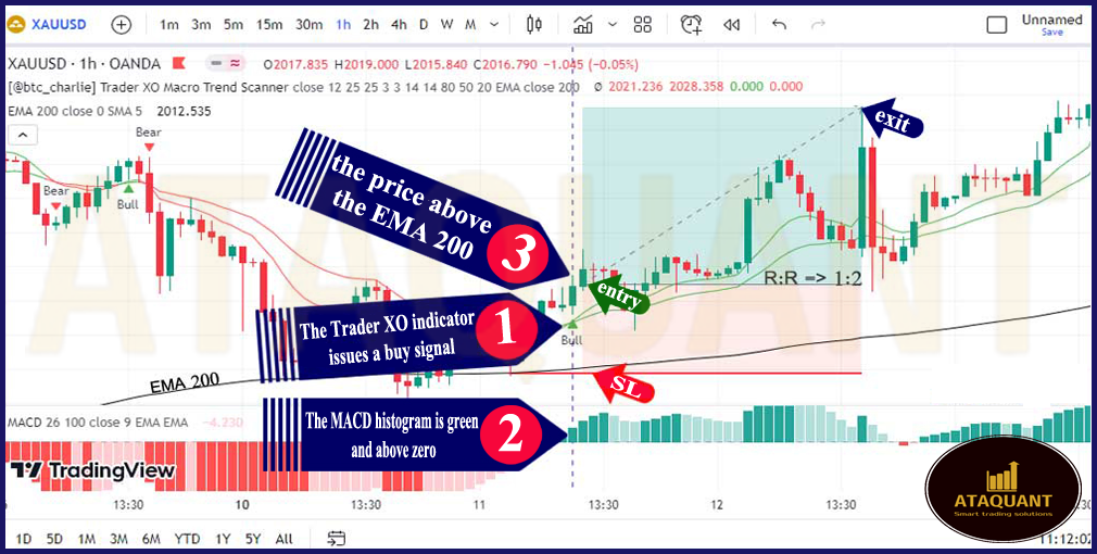 Trader Xo Macro Trading Strategy Ataquant Advanced Expert And Indicator Programming For